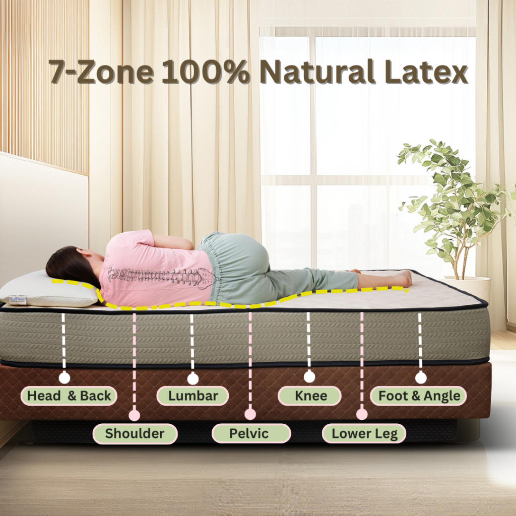 Buy 7 Zone Latex Mattress for Premium Comfort & Support