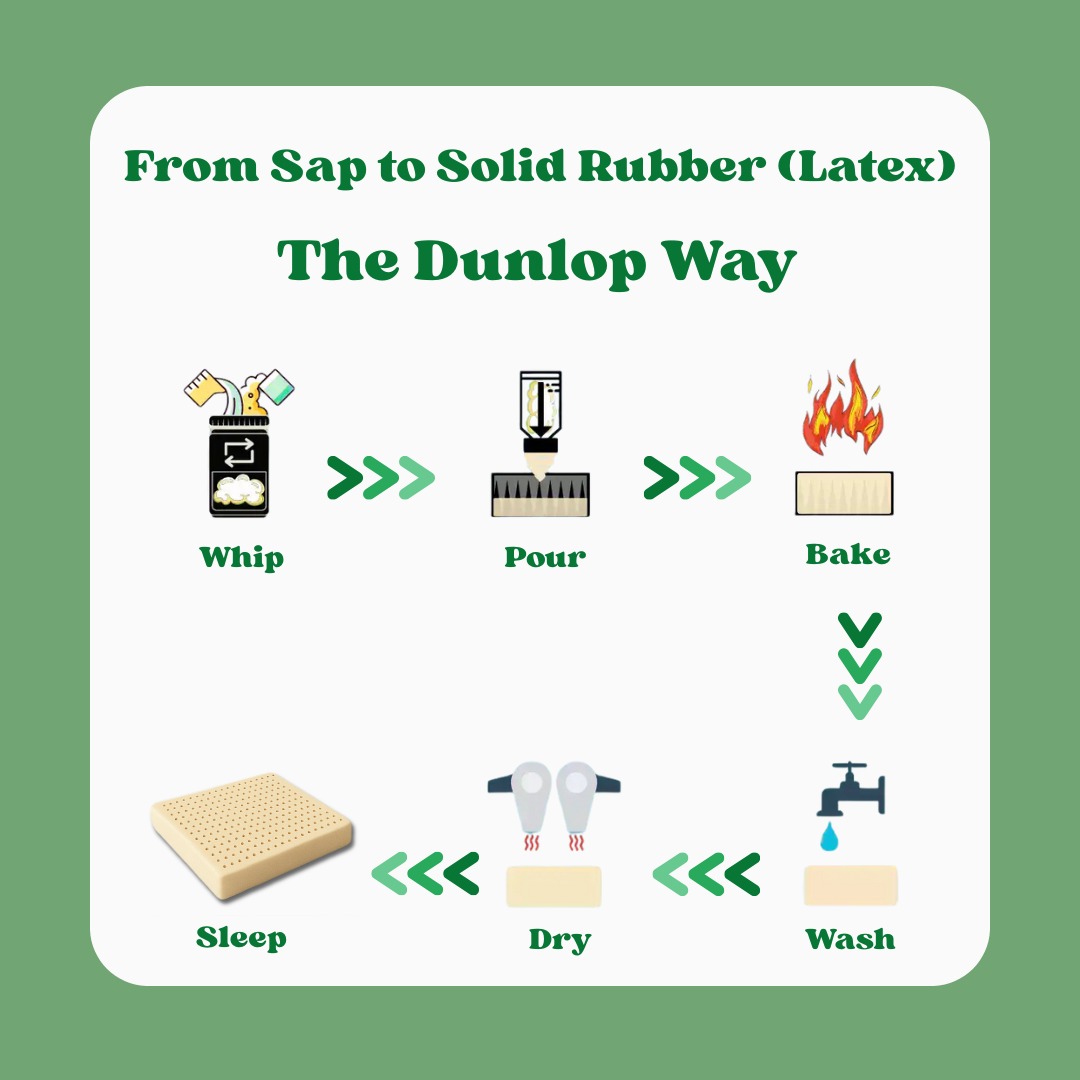 Everything You Need to Know Before Buying a Latex Mattress